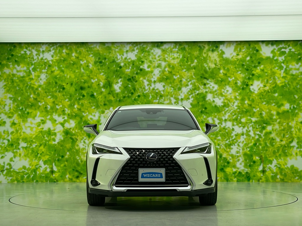 レクサス UXハイブリッド UX250hバージョンC 年式：H31年｜クルマを探す｜WECARS（ウィーカーズ）