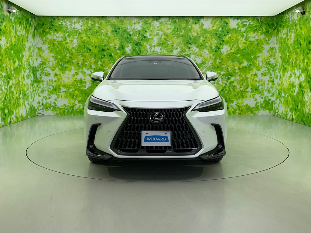 レクサス NX NX250バージョンL 年式：R4年｜クルマを探す｜WECARS（ウィーカーズ）