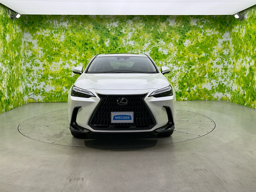 レクサス NX NX250バージョンL 年式：R6年｜クルマを探す｜WECARS（ウィーカーズ）